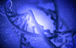 AXYS - The Association for X and Y Chromosome Variations